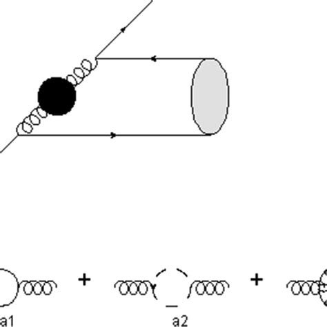 The Vaccum Polarization Graphs Of Qcd A1 Quark Loop A2 Ghost Download Scientific