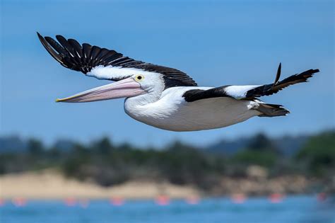 Mastering Aws Cloudfront Caching A Comprehensive Guide To Optimal Content Delivery Aws In