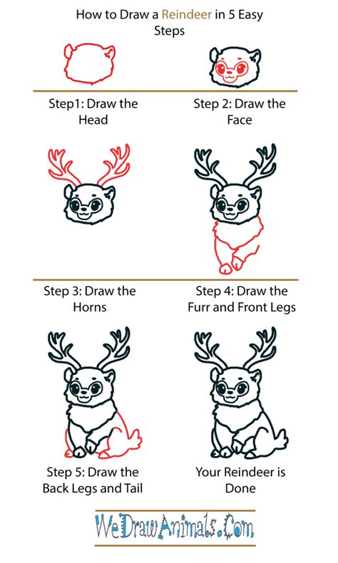 How To Draw A Reindeer Step By Step Realistic Drawing Tips Guide
