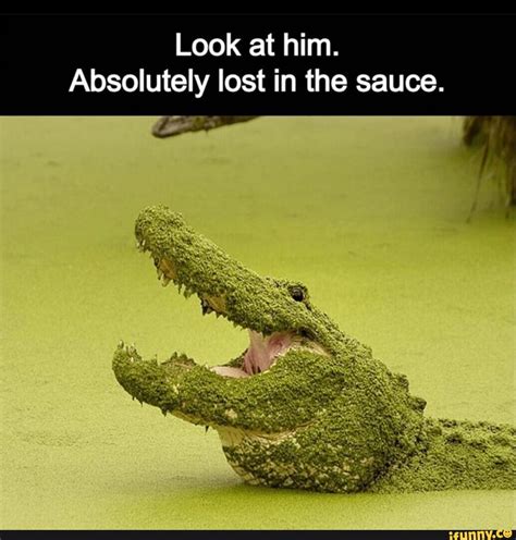 Look At Him Absolutely Lost In The Sauce Ifunny