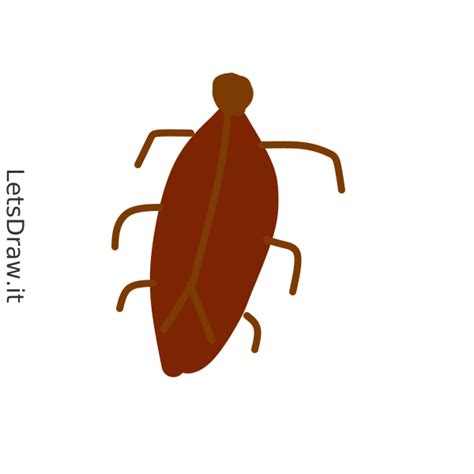 How To Draw Roach Xadtjxi71png Letsdrawit