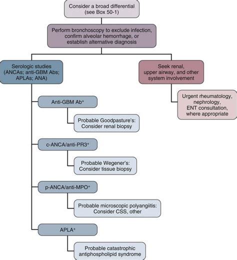 Immunologic Lung Disease In The Critically Ill Anesthesia Key