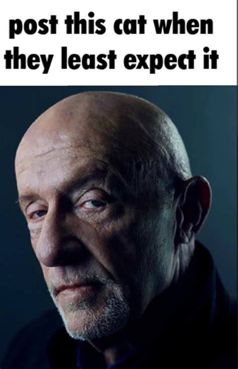 The Cat Named Finger R Mikepost
