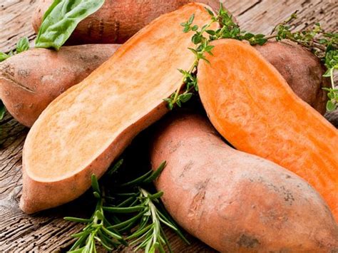 Щоб бути струнким вживайте батат як виростити «солодку картоплю на городі Новости Section