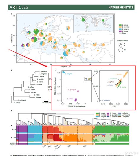 跟着nature Genetics 学画图：r语言ggplot2散点图展示pca结果51cto博客ggplot2绘制散点图