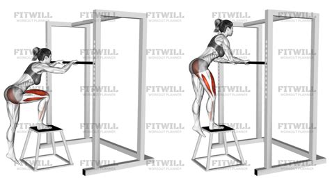 Bodyweight Glute Dominant Step Up Exercise Guide Techniques Benefits How To Muscles Worked