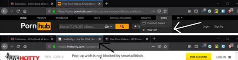 New Update A First Look At SmartAdblock For Firefox And Chrome MalwareTips Forums