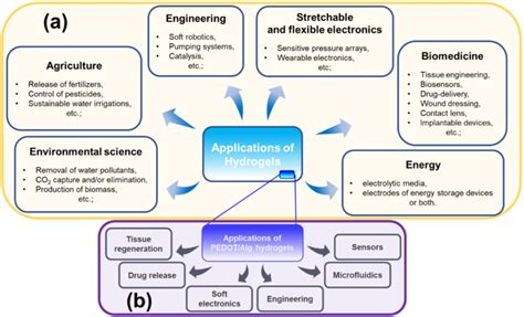 A Applications Of Hydrogels In General And B Applications Of Download Scientific Diagram