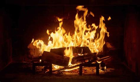 Cheminée Seulement Ces Types De Bois Sont Conseillés