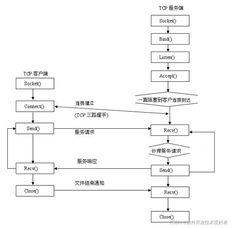 Python网络编程入门 Csdn博客