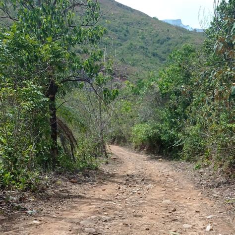 Edwin Jimenez Youtube