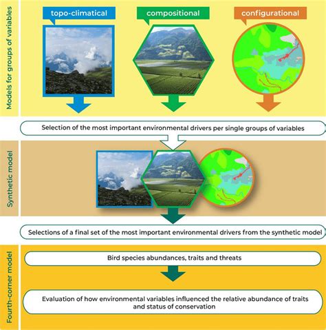 Scheme Showing The Statistical Framework Adopted To Evaluate The Download Scientific Diagram