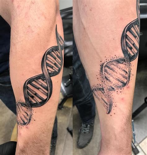 DNA Entropy Odd Stuff Magazine
