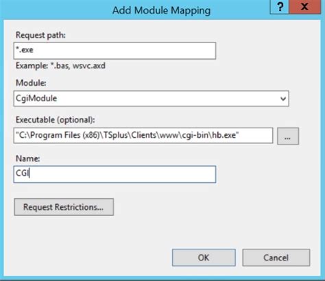Using IIS Microsoft Internet Information Server TSplus Remote Access
