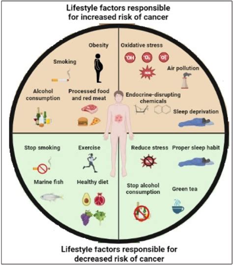 Effect Of Modifiable Lifestyle Risk Factors On The Incidence And Prevention Of Cancer In Modern