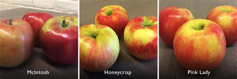 The Most Common Apple Varieties And What They Re Best For Stauffers