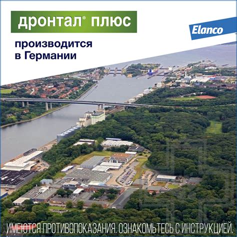 Купить Дронтал плюс XL Таблетки от гельминтов для собак (цена за 1 ...