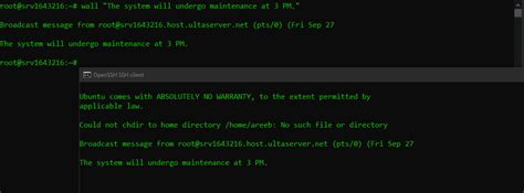 How To Use The Wall Command In Linux Ultahost Knowledge Base