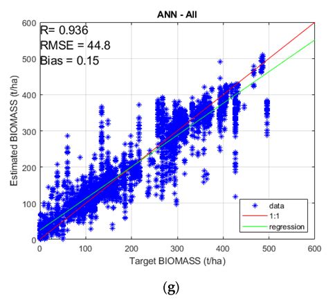 Machine Learning Applications For The Retrieval Of Forest Biomass From Airborne P Band Sar Data