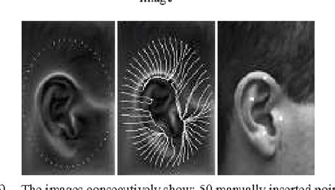 Figure 1 From Pattern Extraction Methods For Ear Biometrics A Survey Semantic Scholar