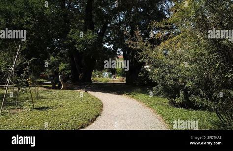 Curve Path In Park Stock Videos And Footage Hd And 4k Video Clips Alamy