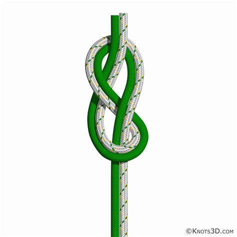 Nudo De Ocho Doble Animación Del Nudo Nudos 3d