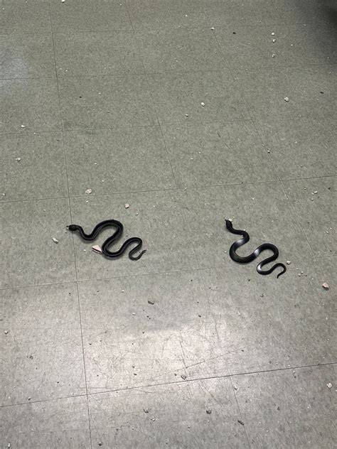 Busting Into Jail Sedan Crashes Into Front Doors Of Martin Jail