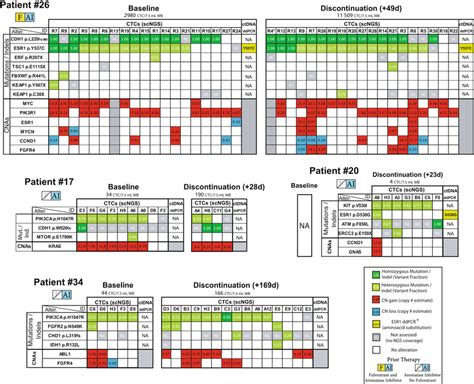 Integrative Heatmap Of Putative Driver Genomic Alterations Detected By Download Scientific
