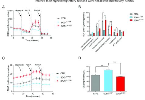 Mitochondrial Functionality Ocr A And Ecar C Traces Expressed As