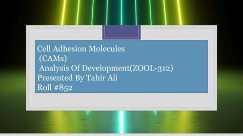 Cell Adhesion Molecules Pptx