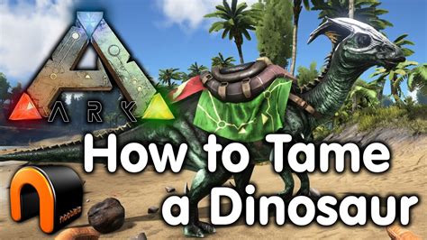 Ark Survival Evolved How To Tame A Dinosaur Youtube