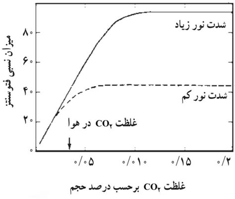متابولیسم؛ فتوسنتز و تنفس آینده نگاران مغز