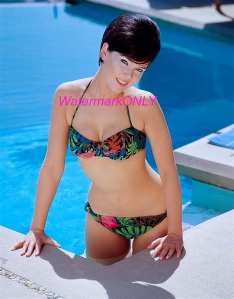 Gorgeous Actress Yvonne Craig 60s Tv Batgirl Sexy Hot Pin Up Photo