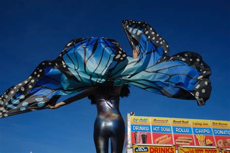 “show Stopping” By Julia Coddington — Progresfestival