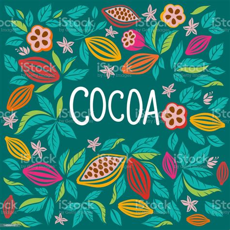 Cocoa Beans With Leaves Drawn Cocoa Beans Tropical Fruits Foliage Organic Desserts Aromatic