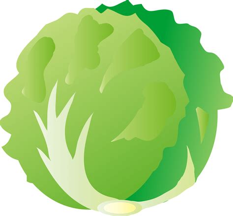 Free Lettuce Download Free Lettuce Png Images Free Cliparts On
