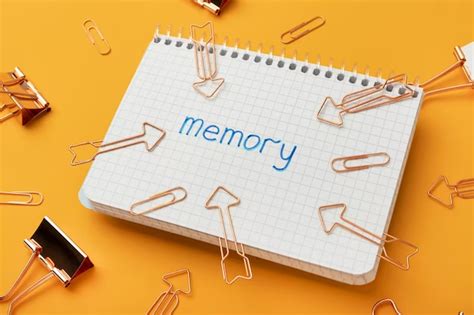 Trainers Treasure All That Makes A Perfect Trainer Brain Power