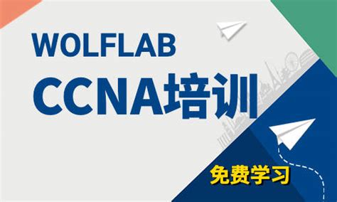 思科认证ccna培训学习考试dtp协议 vtp协议详解理论课笔记 wolflab沃尔夫网络实验室 hcie培训 ccie培训 ccna学习