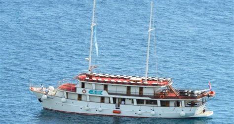 MV Meridijan from Katarina Line - TourRadar