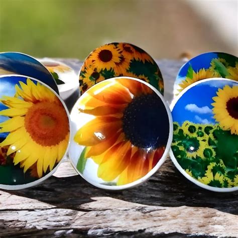 Sunflower Knobs Etsy