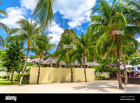 Palms And Bungalows Houses Near The Cliffs On Ao Phra Nang Beach