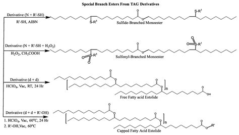 Vegetable Oil Structure