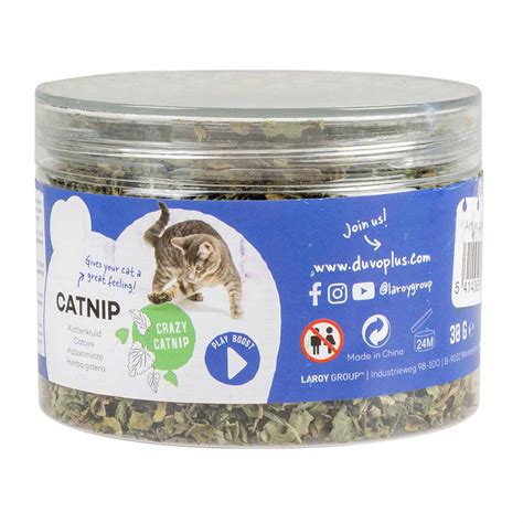 Catnip Herb Laroy Group