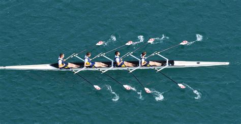 Rowing Workouts Guides And Exercises Technogym India