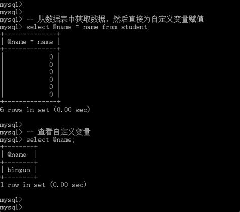 史上最简单的 Mysql 教程（三十一）「数据库变量」mysql 获取数据库列表并做变量使用 Csdn博客