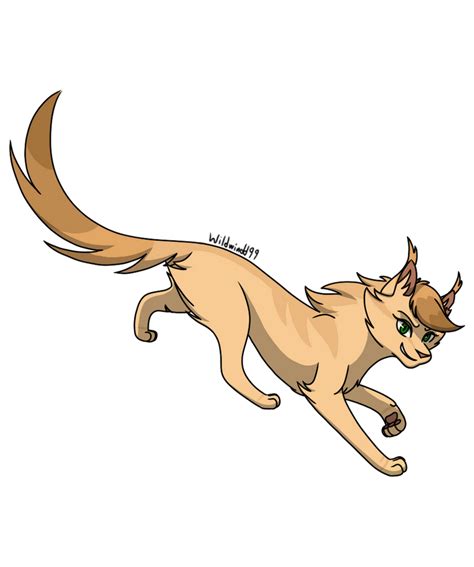 Warrior Cat Character 21 Sandstorm By Wildwindd99 On Deviantart