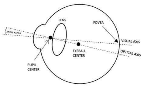 Sensors Free Full Text 3d Gaze Estimation Using Rgb Ir Cameras