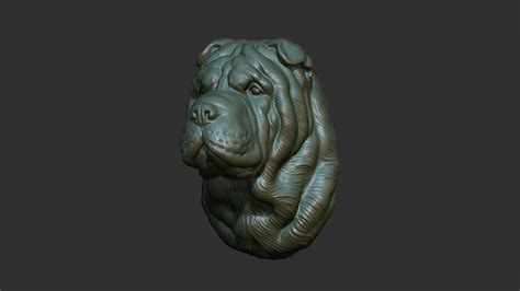 Archivo Stl Cabeza De Perro Shar Pei 👾 ・modelo Para Descargar Y