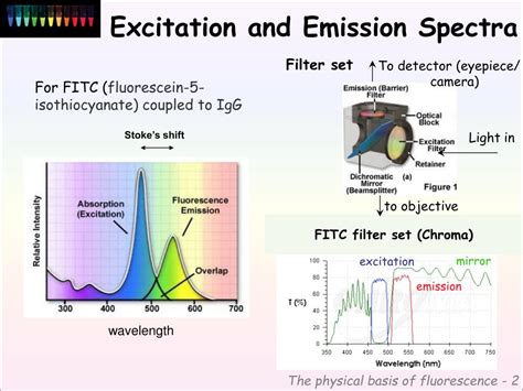 Ppt How Fluorescence Works Powerpoint Presentation Free Download