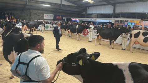 Video AXA National Dairy Show Ends On High Note